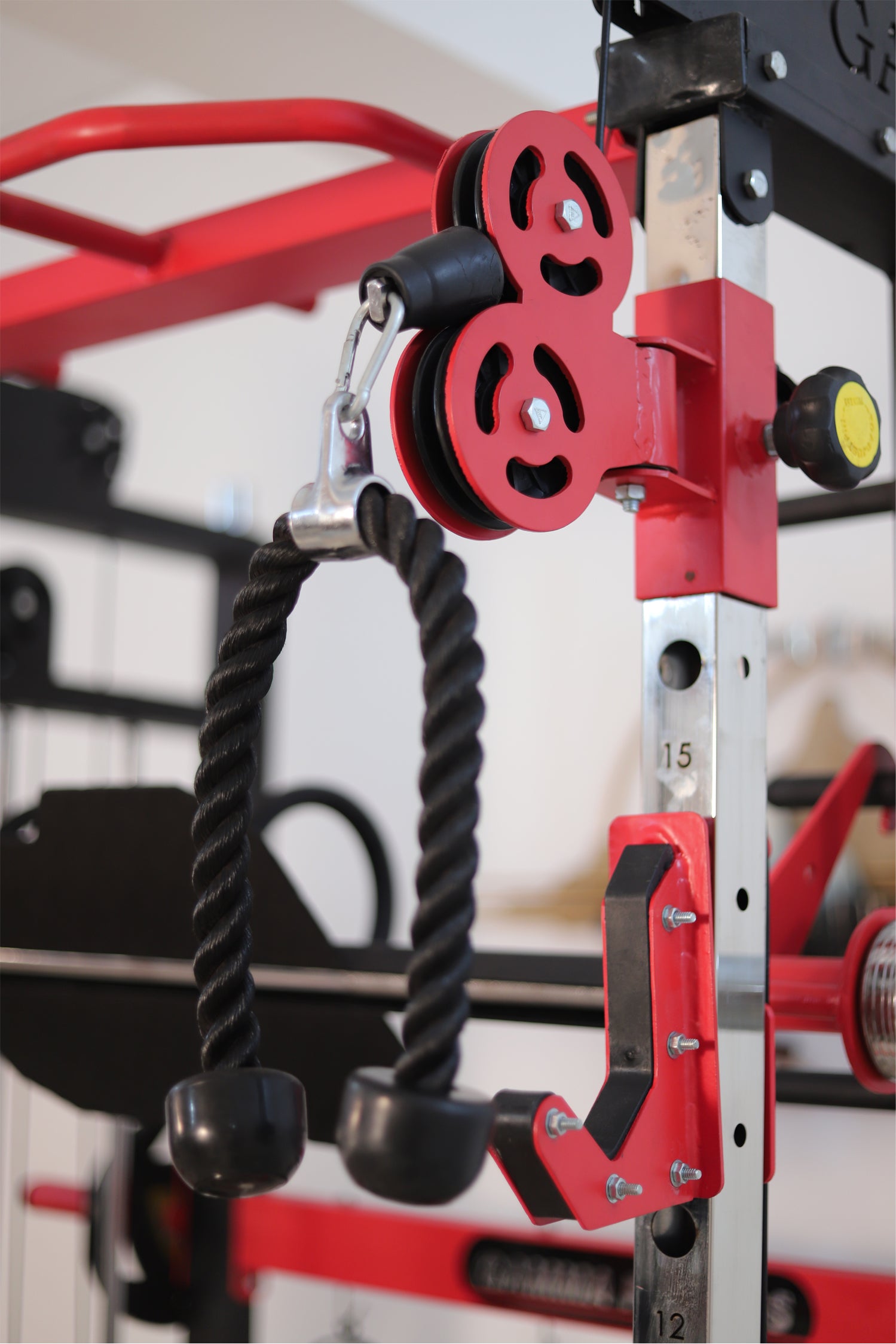 Multi Gym Functional Trainer with Smith Machine FTS-101 Pro for Home G – Gamma Fitness